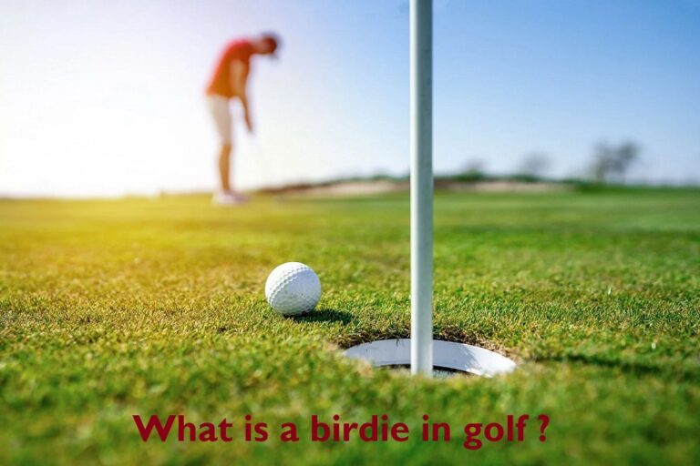 What Is a Birdie in Golf? Definition, History, Scoring1